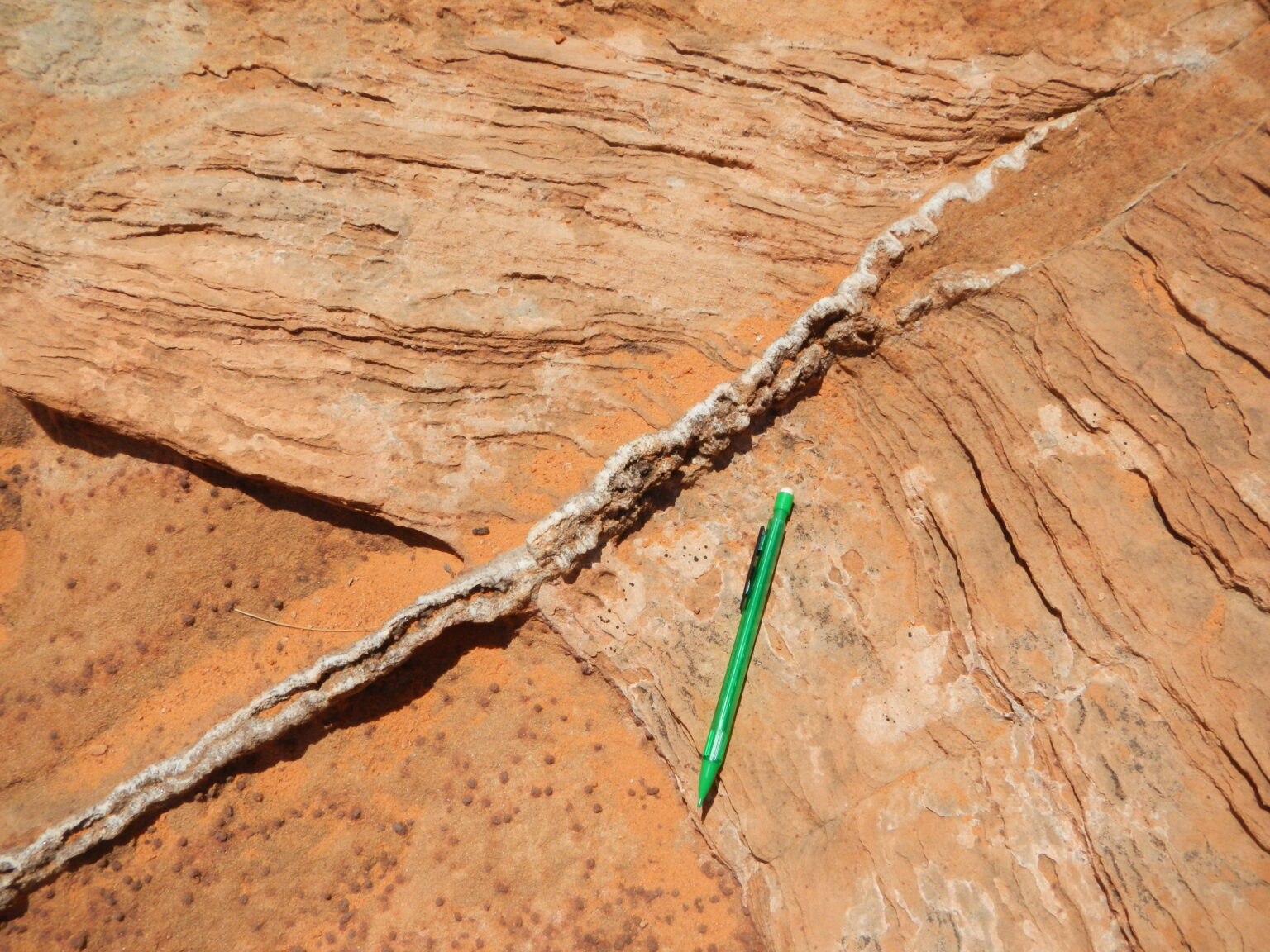 Aeolian Reference | Mackenzie Day